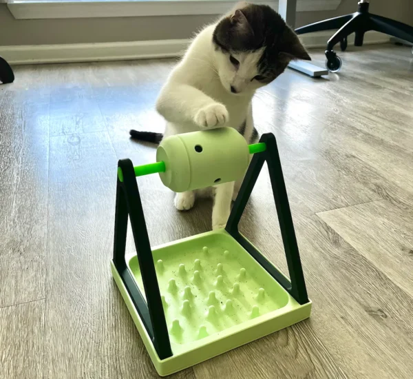 Spinning Cat Treat Puzzle - Maine Love Cattery